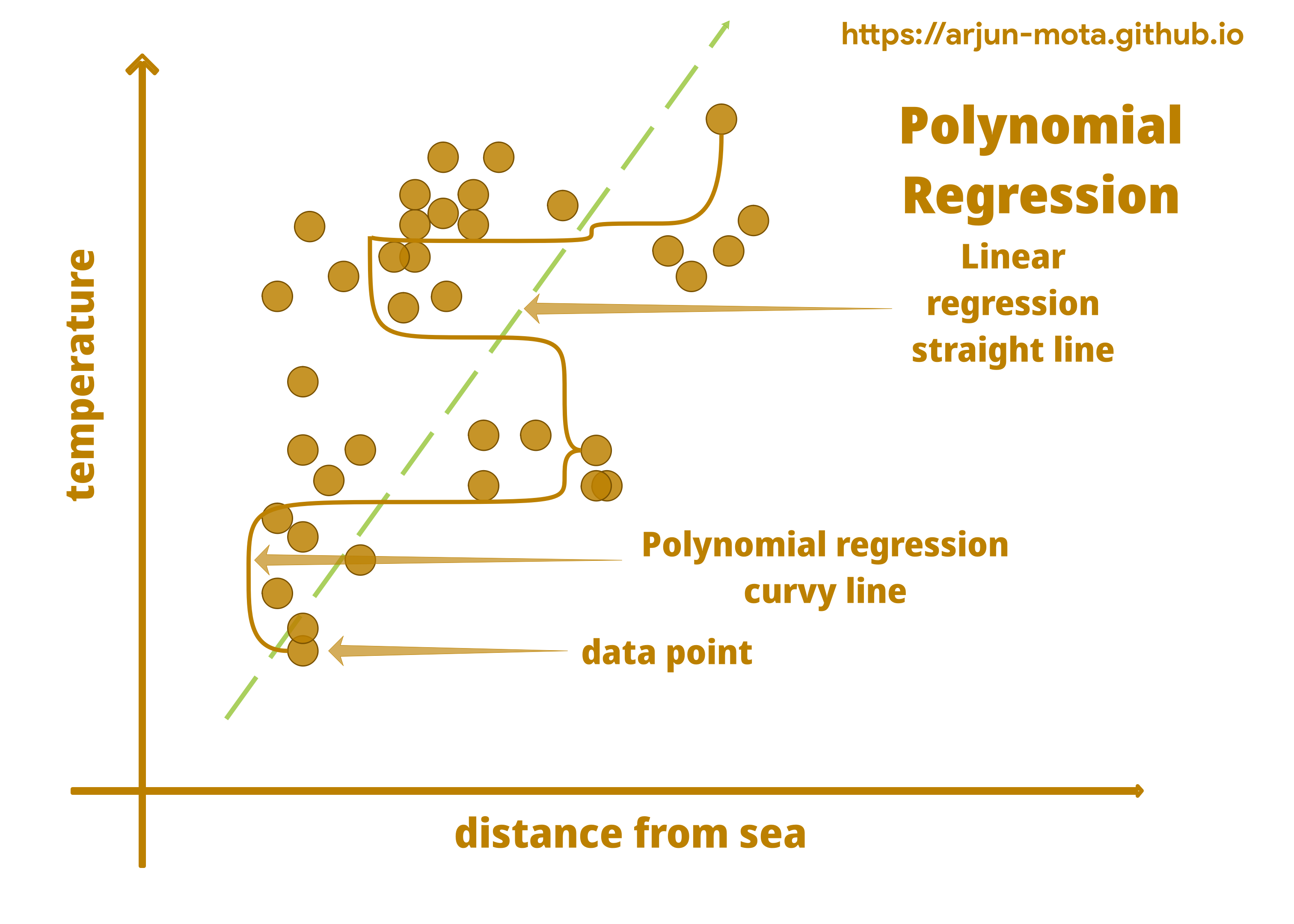 Polynomial Regression Algorithm Intuition Arjun Mota s Blog